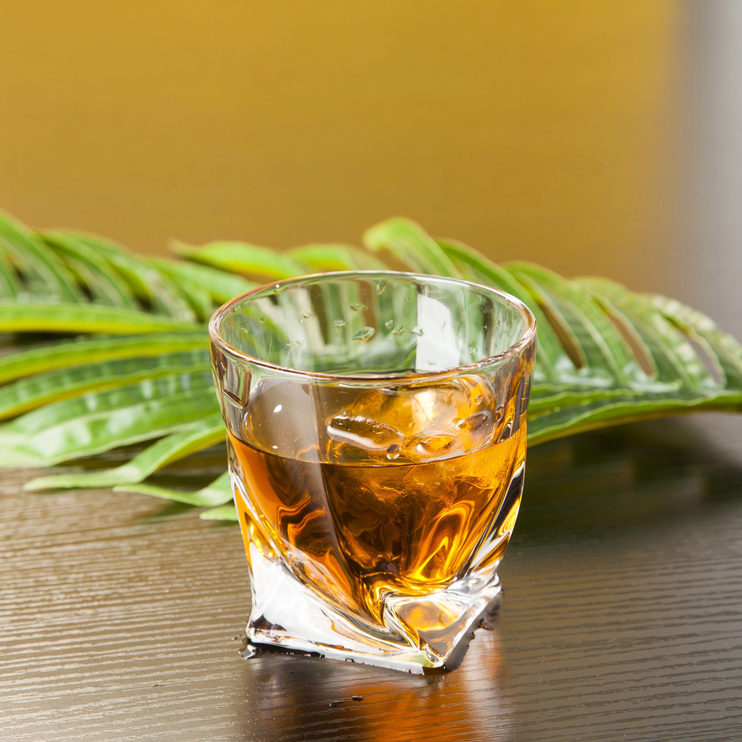 American Style Whiskey Glass – Decorhouse